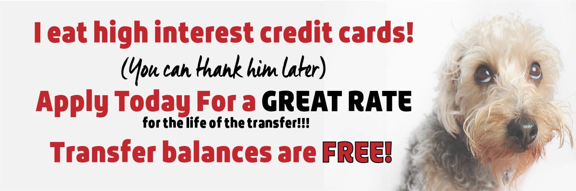 North Central Area Credit Union – Trusted relationships