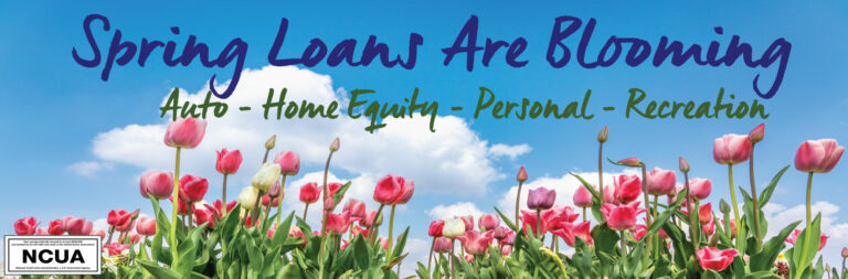 North Central Area Credit Union – Trusted relationships